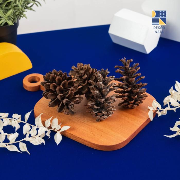 Jual Buah Pinus Kecil / Bunga Pinus / Pinus / Rustic / Props Foto 065 ...