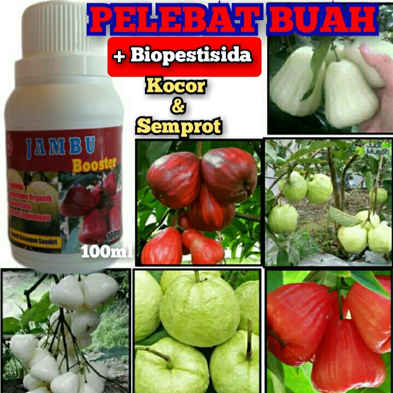 Jual Pupuk Jambu Booster Perangsang Pelebat dan Cegah Rontok | Shopee Indonesia