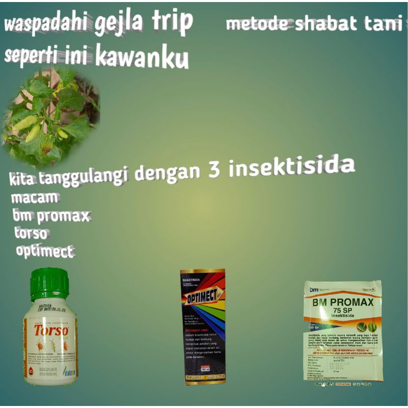 Jual PAKET OBAT TRIP | Shopee Indonesia