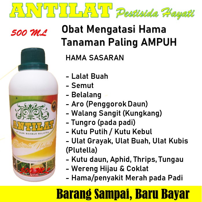 Jual ANTILAT insektisida Pestisida Nabati Obat Semprot Mengatasi Hama ...