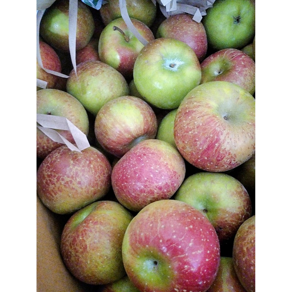 Buah Apel Malang Khas Batu Malang | Rome Beauty Apples | Diet Apel ...