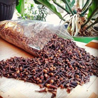 Jual CENGKEH KERING cengkih utuh clove whole MURNI Berkualitas/ 1 Kg ...