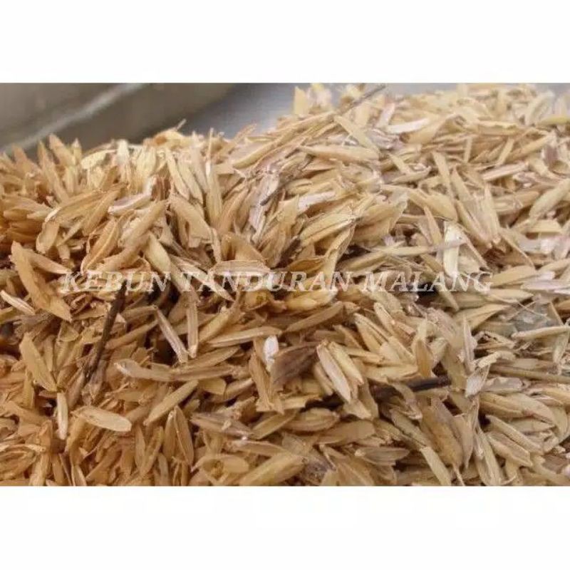 Jual Media Tanam Sekam Padi Kulit Padi Mentah berat 500 gram | Shopee ...