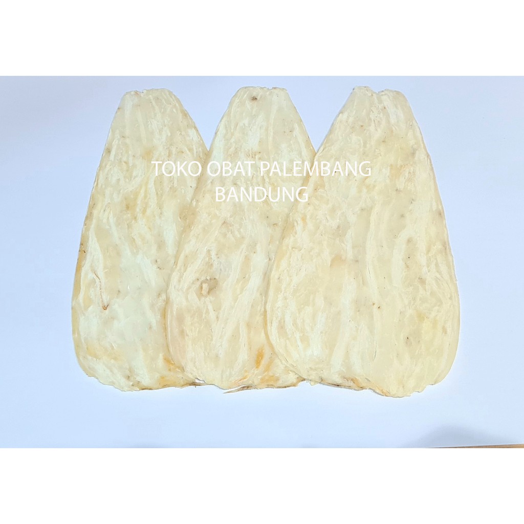 Jual DANG GUI PIAN 10GR TANG KUI TANG KWEI TANGKUI LEMBARAN DANGGUI ...