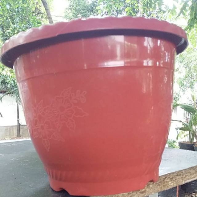 Jual Pot bunga tanaman ukuran 25 mERK ALASKA | Shopee Indonesia