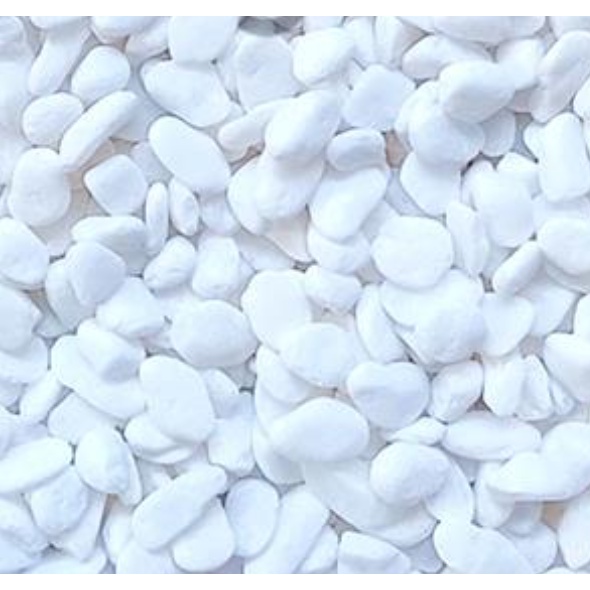 Jual BATU ITALY PUTIH KECIL - KORAL IMPORT HIAS TAMAN 1Kg | Shopee ...