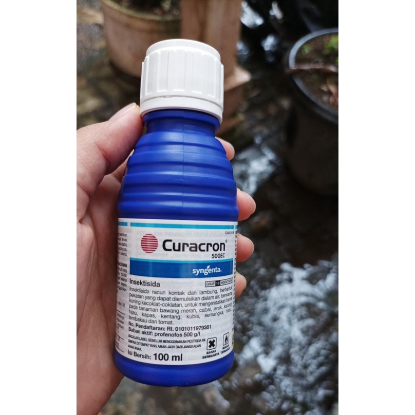 Jual Pembasmi hama / kutu putih Insektisida Curacorn 500 EC isi 100ml ...
