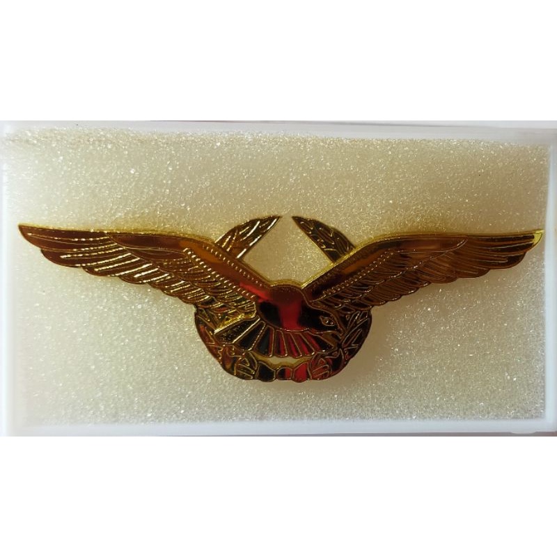 Jual wing penerbang TNI AU | Shopee Indonesia