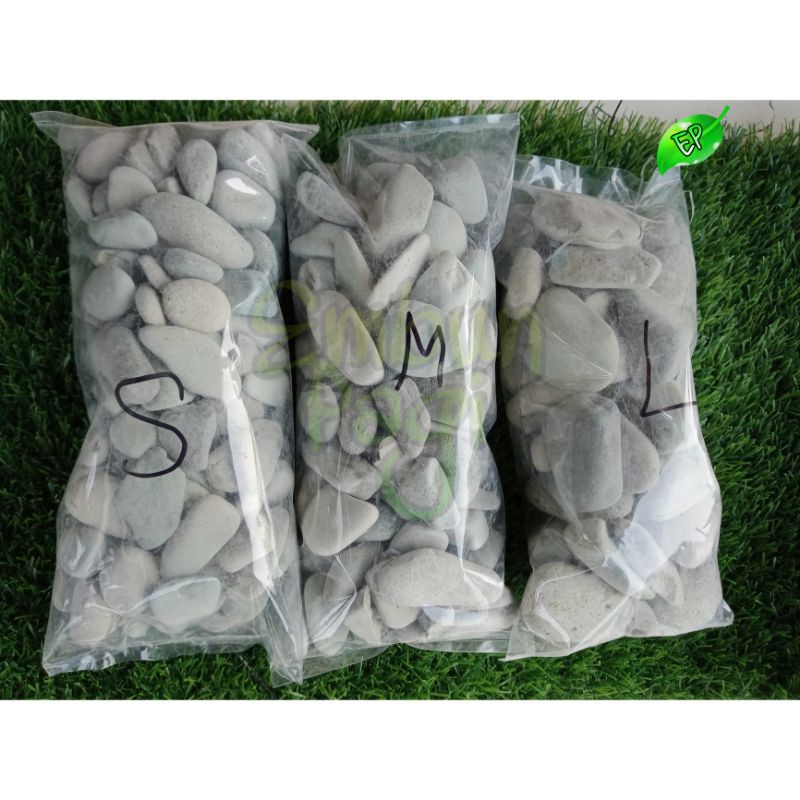 Jual Batu koral hijau Flores 1kg | Shopee Indonesia