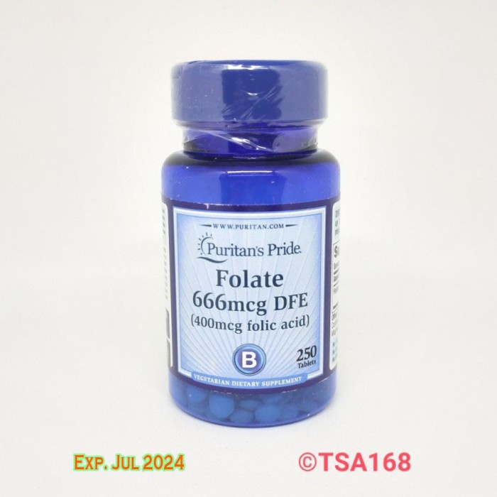 Jual Ibu Hamil - Puritan Pride Folate 400 Mcg Folic Acid 250 Tab ...