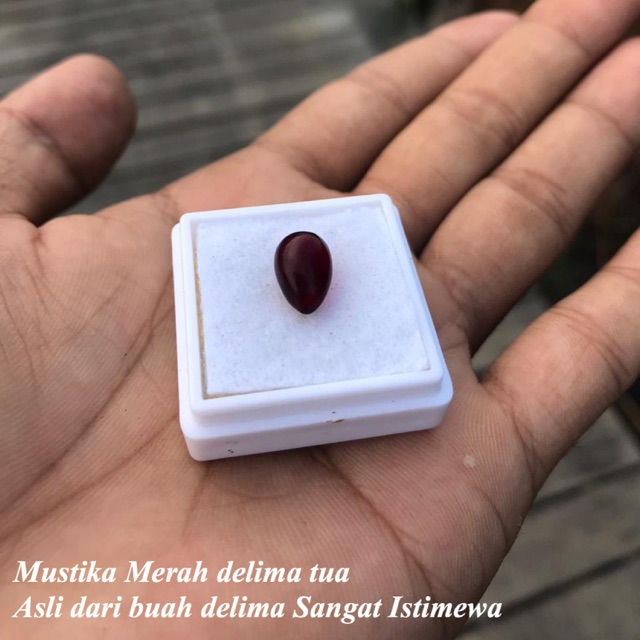 Jual Merah Delima Asli dari Buah delima Warna Tua Sangat Langka ...