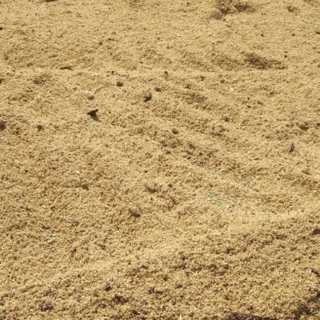 Jual MEDIA TANAM - SERBUK KAYU PINUS | Shopee Indonesia