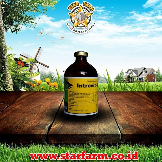 Harga Introvit-B-Complex Terbaru Mei 2023 |BigGo Indonesia