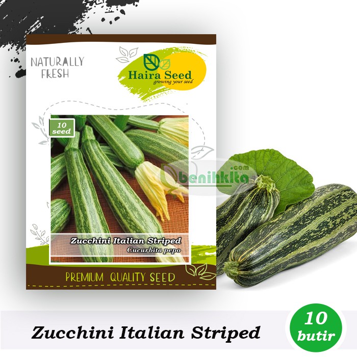 Jual Benih-Bibit Zucchini Italian Striped Summer (Haira Seed) | Shopee ...