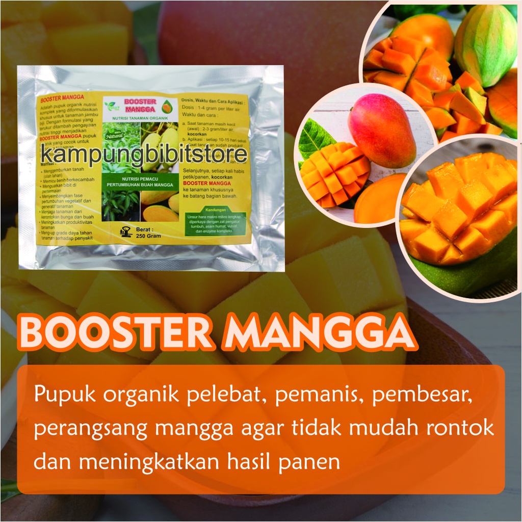 Jual Pupuk Booster Pohon Mangga, Booster Mangga Agar Berbuah Lebat | Shopee Indonesia