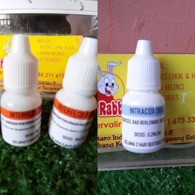 Jual Interflox 10mg dan intracox 10mg oral obat mencret kembung flue ... Jual Interflox 10mg dan intracox 10mg oral obat mencret kembung flue ...