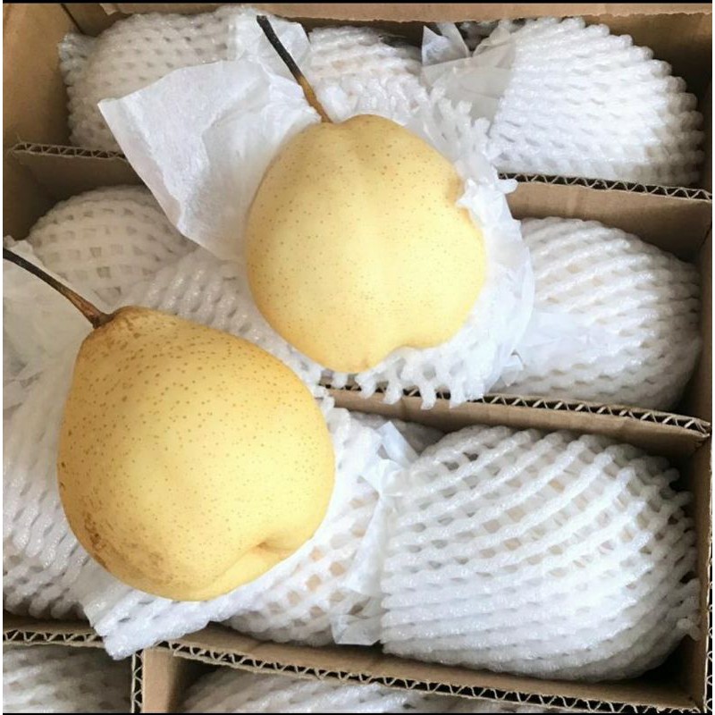 Jual buah pear yalie|buah segar bandung|nuri fruits|buah pear|buah ... Jual buah pear yalie|buah segar bandung|nuri fruits|buah pear|buah ...
