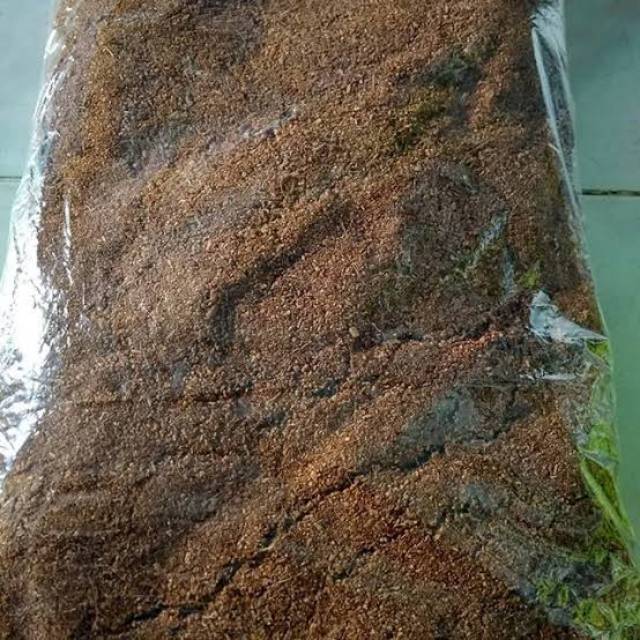 Jual Cocopeat 500 gram media tanam - cocopit - kokopit - tumbuhan ...