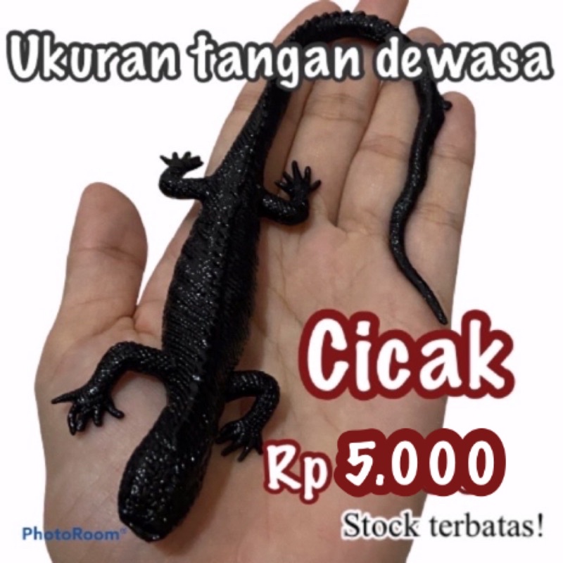 Jual Cicak prank ukuran besar kenyal | Shopee Indonesia