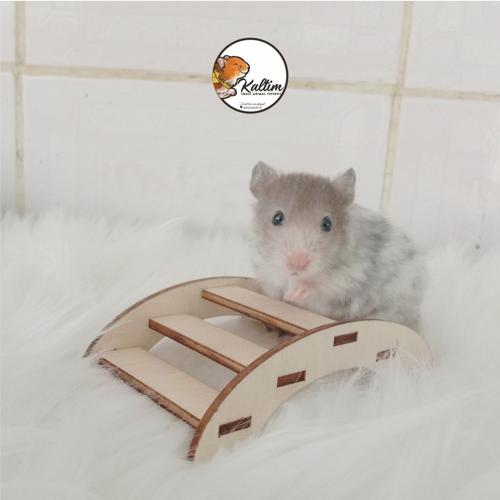 Jual Jembatan Hamster Mini | Mainan Hamster Jembatan | Dekorasi Kandang ...