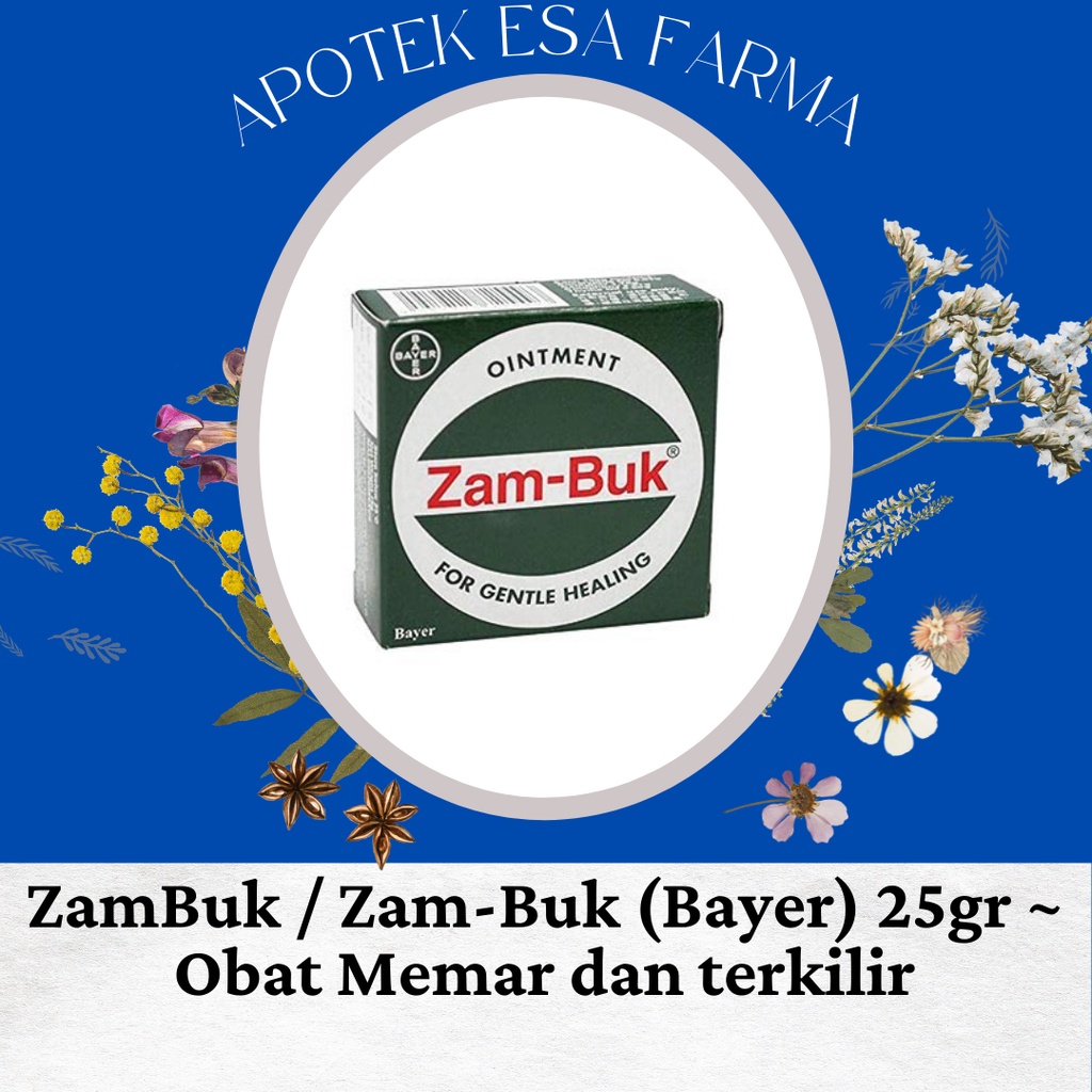 Jual ZamBuk / Zam-Buk (Bayer) 25gr ~ Obat Memar dan terkilir | Shopee ...