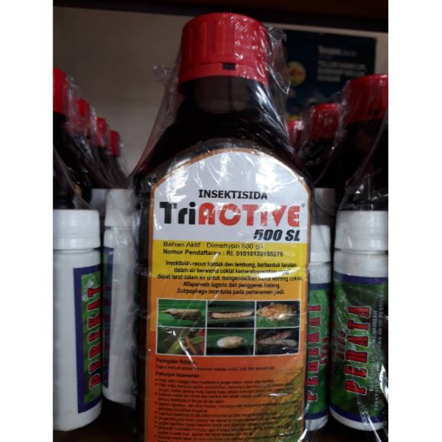 Harga Triactive Terbaru November 2021 | BigGo Indonesia