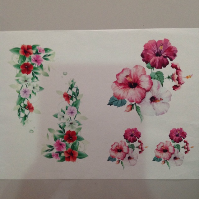 Beginilah Gambar Bunga Di Kertas A3 Super Keren - Informasi Seputar ...