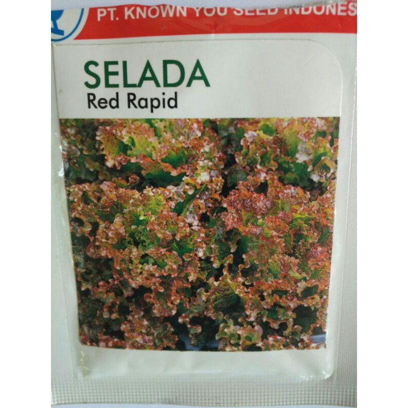 Jual Benih Selada Merah Red Rapid Known You Seed 150 Biji | Shopee Indonesia