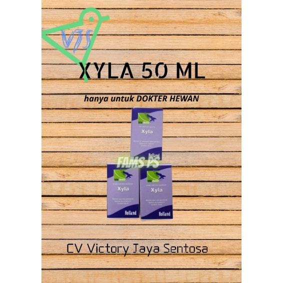 Jual Xyla inj untuk anjing,kucing, sapi, kambing | Shopee Indonesia
