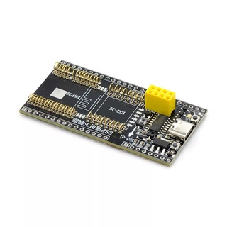 Jual ESP32 ESP12 ESP01 ESP8266 Socket Programmer Downloader Flasher USB C | Shopee Indonesia