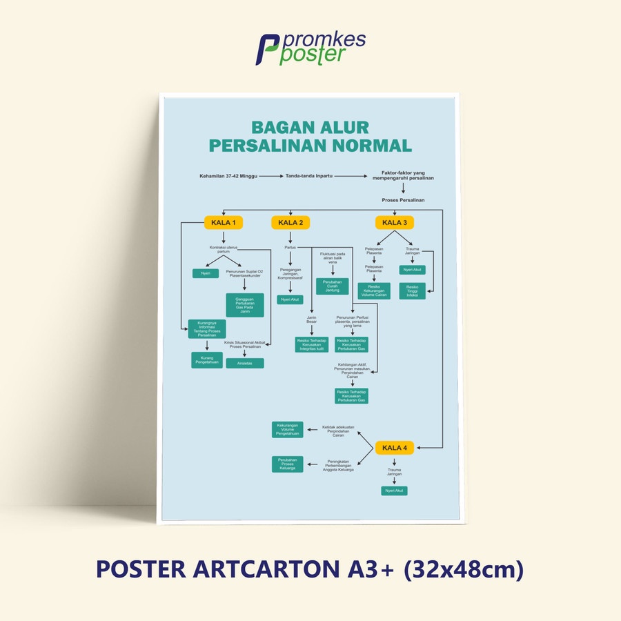 Jual Poster Kebidanan Bagan Alur Persalinan Normal Indonesia|Shopee ...