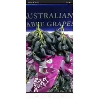 Jual Buah segar anggur hitam swet shafire /anggur jari fresh per 1kg ...