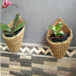 Jual POT ANGGREK/POT DINDING TEMPEL/POT TEMPEL DINDING/POT TANAMAN ...
