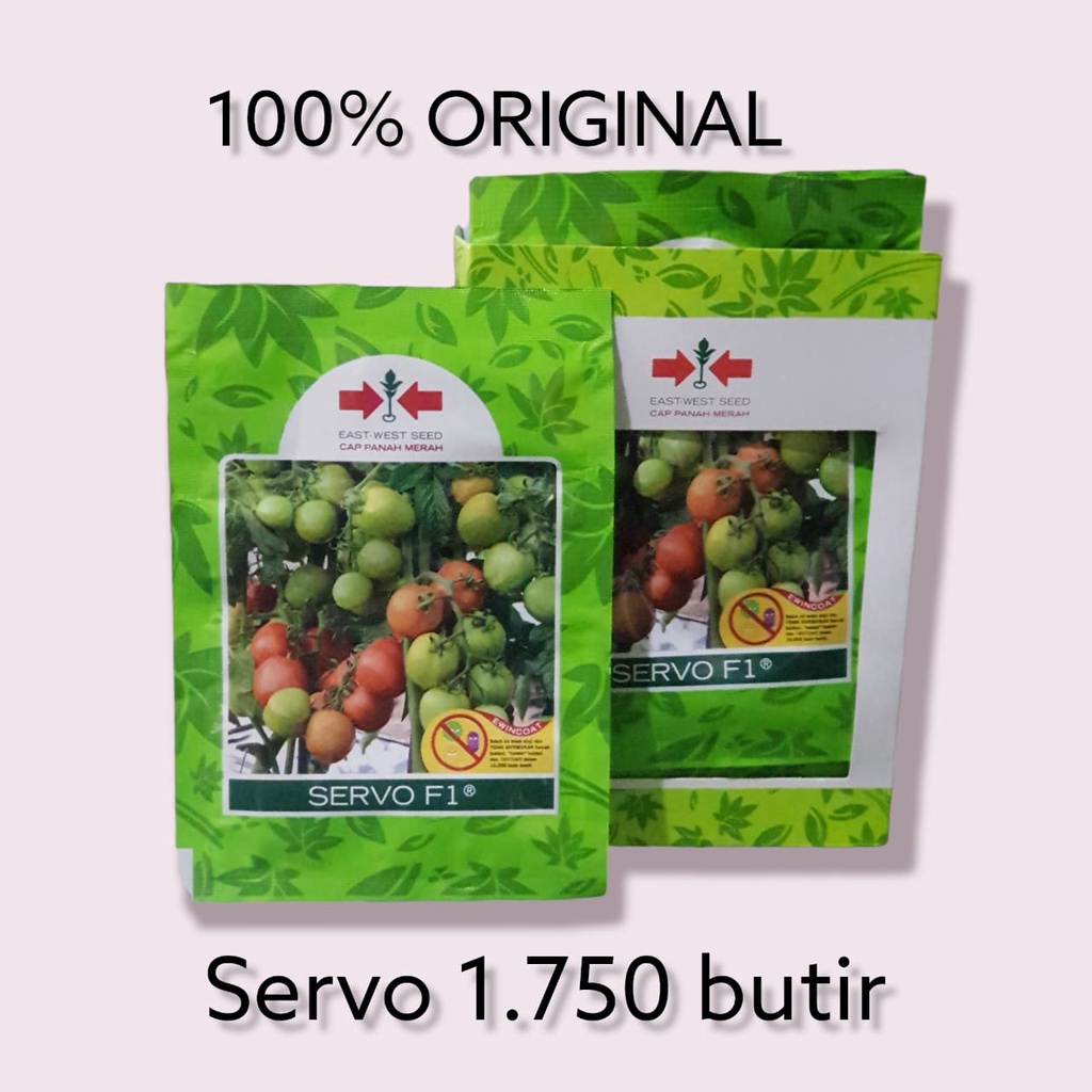Jual TOMAT SERVO F1 PANAH MERAH ASLI 100% DIJAMIN | Shopee Indonesia