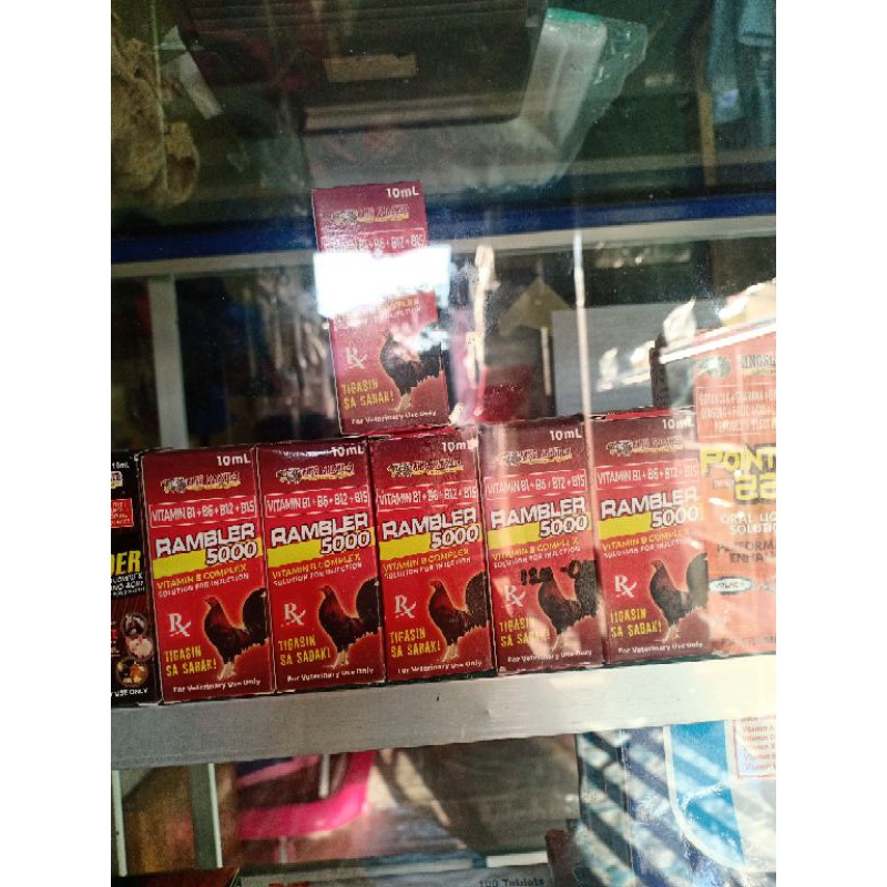 Harga Rambler Terbaru Agustus 2024 |BigGo Indonesia