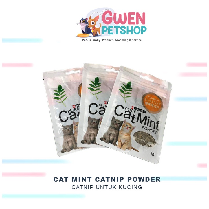 Jual Catnip catmint cat mint - PURE CATMINT POWDER - BIKIN FLY KUCING ...