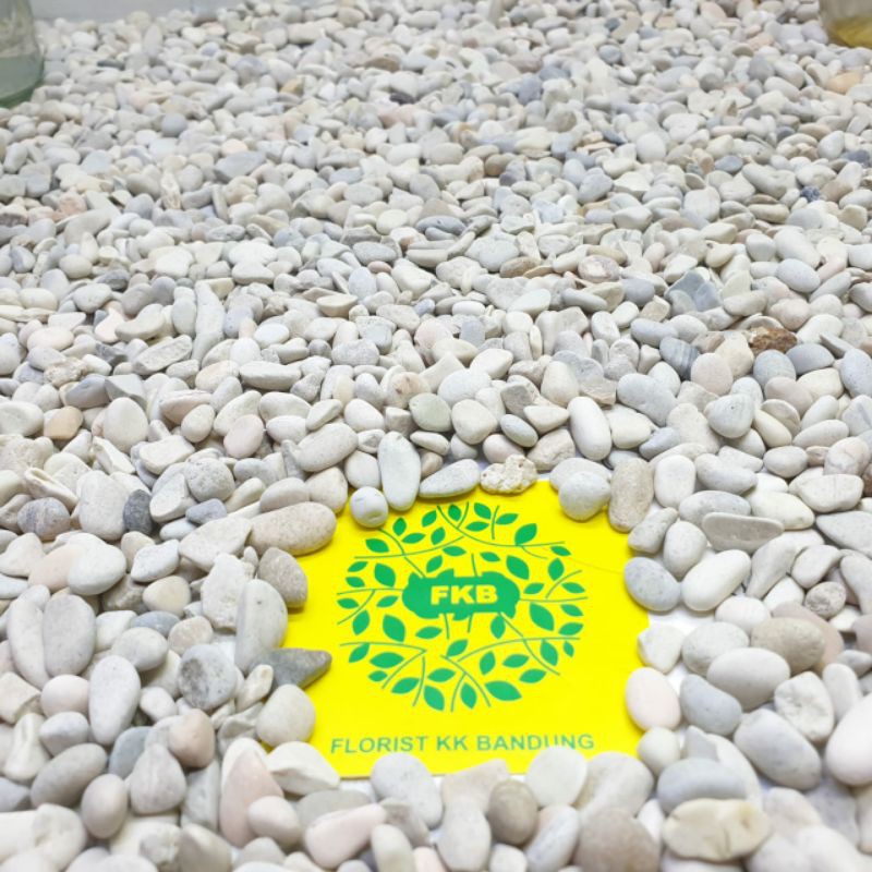 Jual Batu Taman Teras Hias Pot 1 kg 1kg Tanaman Coral Putih No. 15 ...