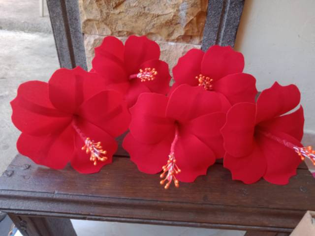 49+ Contoh Gambar Bunga Pucuk yang Mantul! - Informasi Seputar Tanaman Hias