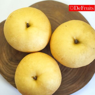 Jual Buah Pir Singo Besar (1buah) - DeFruits | Shopee Indonesia