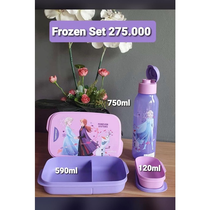 Jual TUPPERWARE FROZEN SET CINDERELLA DISNEY - LUNCH BOX SET | Shopee ...