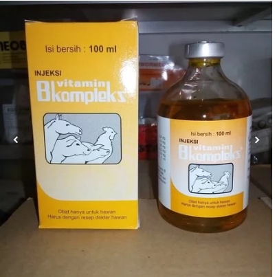 Jual vitamin b kompleks injeksi isi 100 ml | Shopee Indonesia