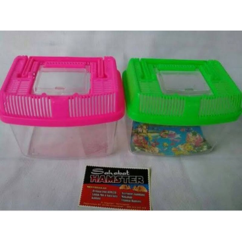 Jual Kandang Terarium Persegi | Shopee Indonesia