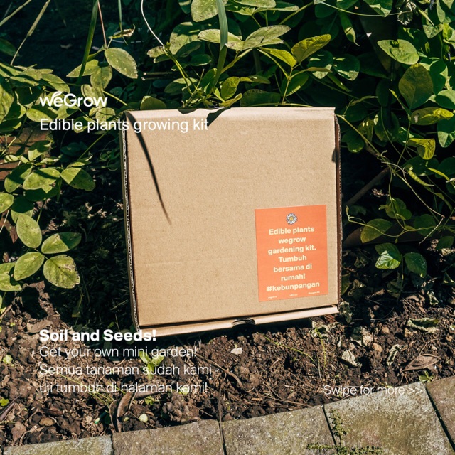 Jual Kit Tanaman Sayur dan Bunga di Rumah/ Edible Plants Kit Wegrow ...