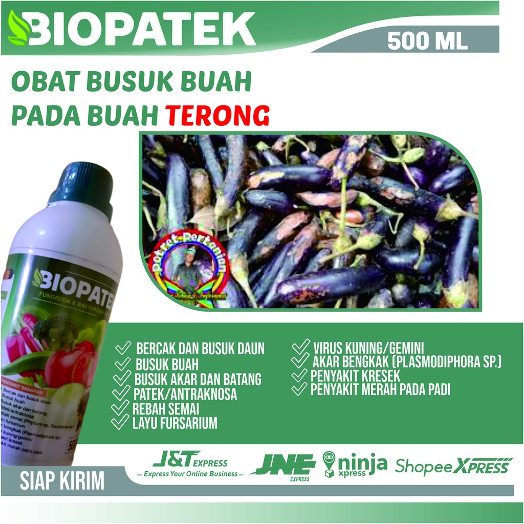 Jual Promo Biopatek Obat Busuk Batang Terong - Biopaek Fungisida ...