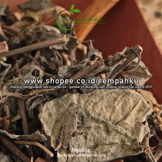 Jual Rempahku - Daun KEJI BELING 10gr Ngokilo Pecah Beling Ngukilo Jamu ...