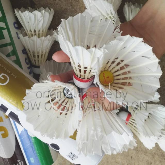 Jual (1slop) Shuttlecock Badminton Drilling / Kok Bulutangkis Bekas (1 ...