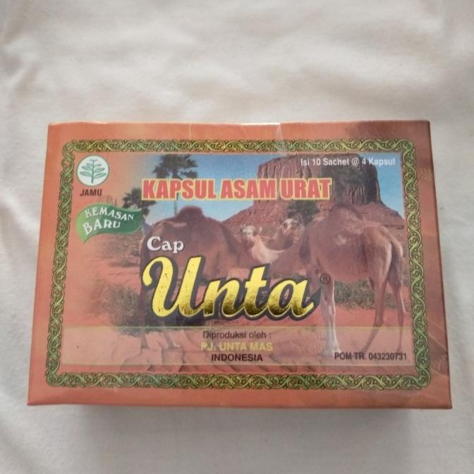 Harga Unta Terbaru Juli 2022 |BigGo Indonesia