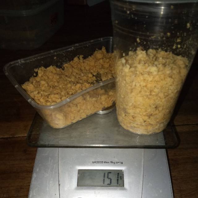 Jual Telur Maggot BSF (50gr, 60gr, 100gr) Indonesia|Shopee Indonesia