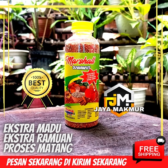 Harga Juwawut Terbaru Februari 2024 |BigGo Indonesia