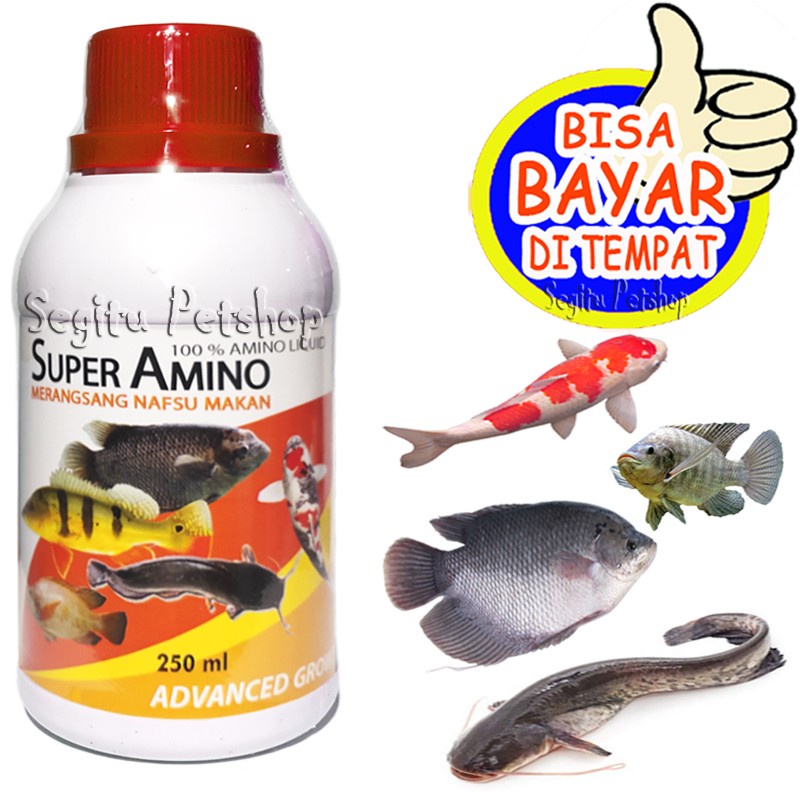 Jual VITAMIN IKAN KURUS CEPAT GEMUK MAS LELE GURAMI PATIN BAWAL SUPER ...